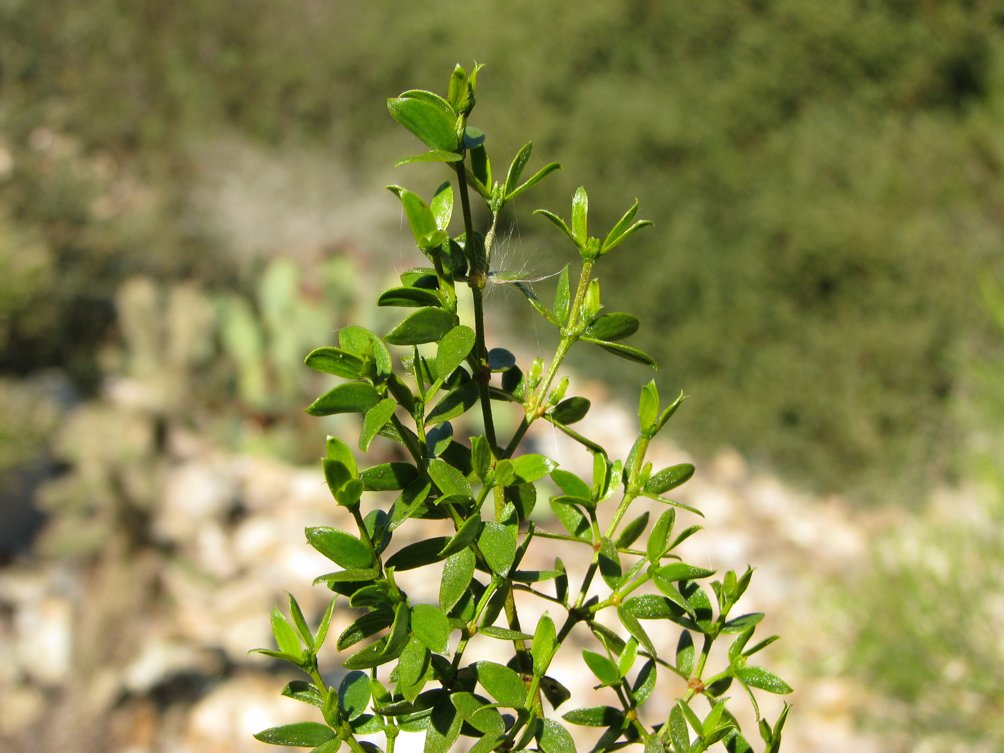 Plant Communities | Environmental Nature Center